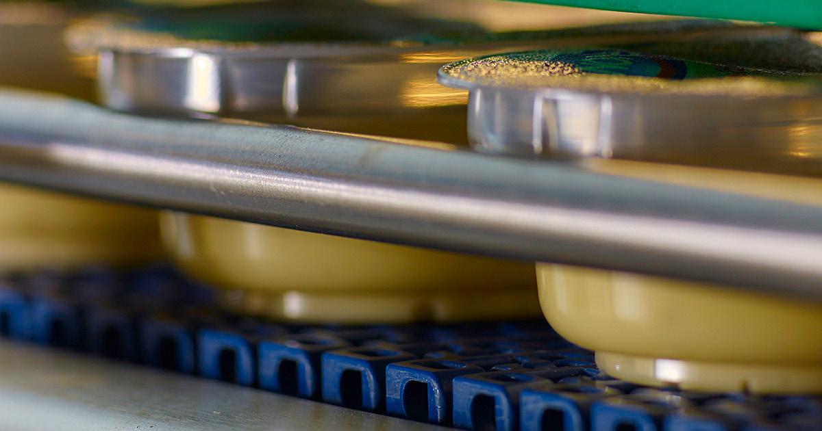 Incorock I The Dairy Food Group