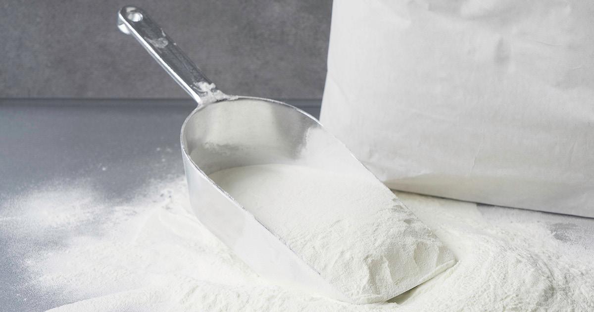 Melkpoeder en room in bulk I The Dairy Food Group
